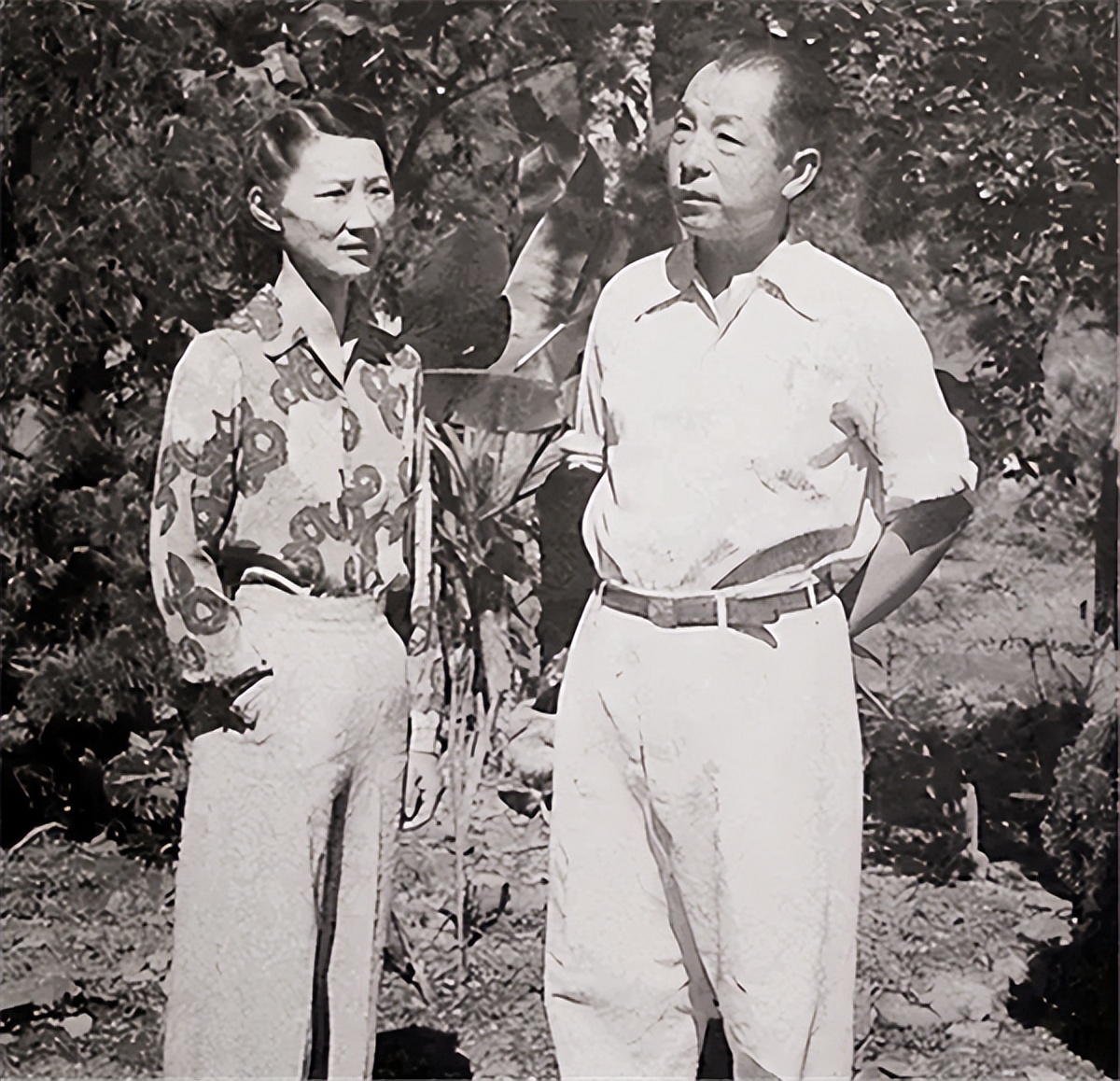 How beautiful is Miss Zhao Si? Let Zhang Xueliang abandon his wife, old ...