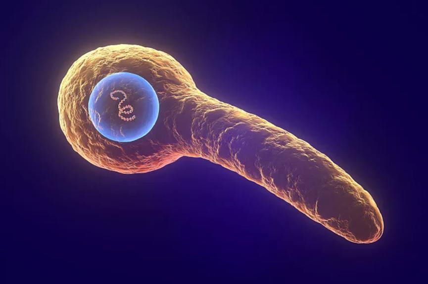 Why Tetanus After Trauma?Are all injuries to be hit? - iNEWS