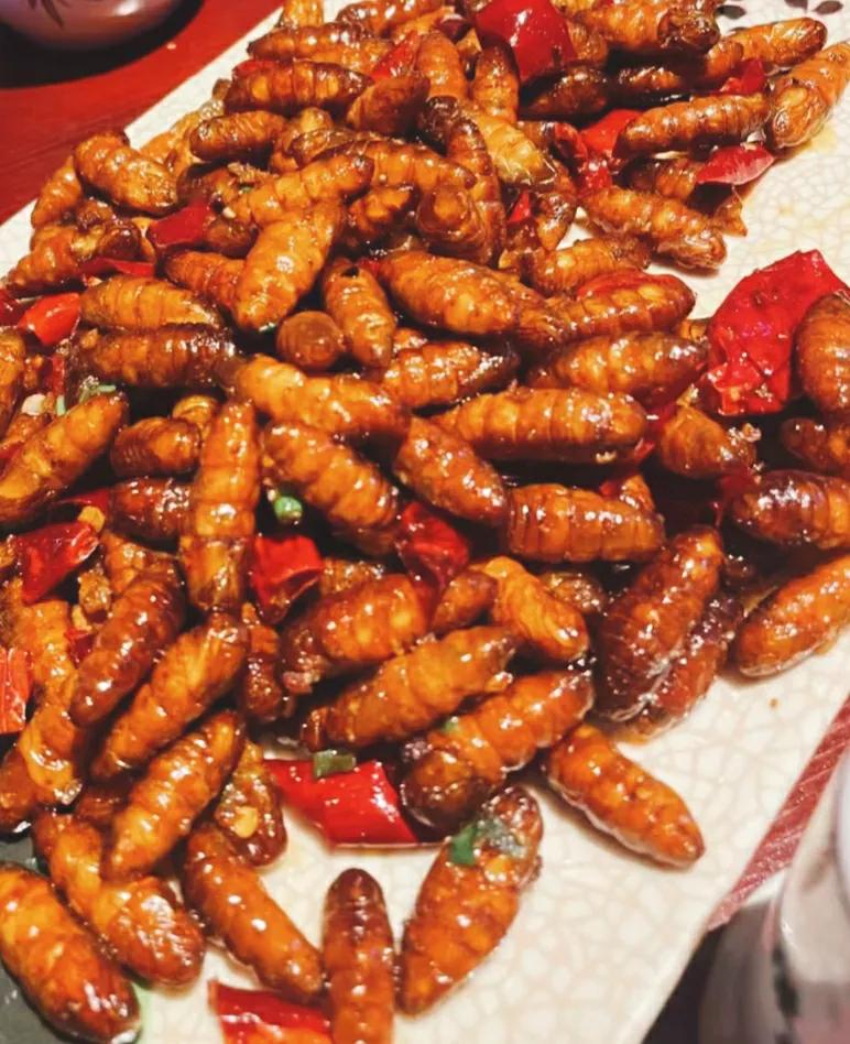Have you ever eaten the dish "Salt and Pepper Silkworm Chrysalis"? - iNEWS