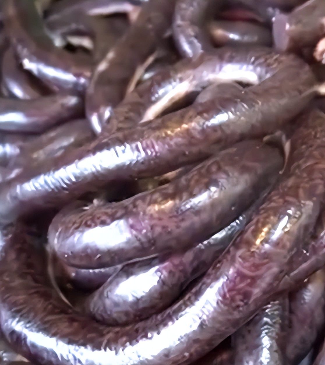 "Ancient County Xiangzhou" 030: Zhuang Township Dragon - iNEWS