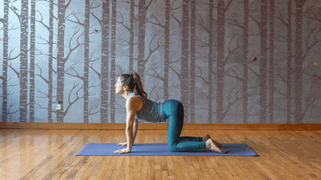Why make the body soft? Say goodbye to stiffness from start to finish ...