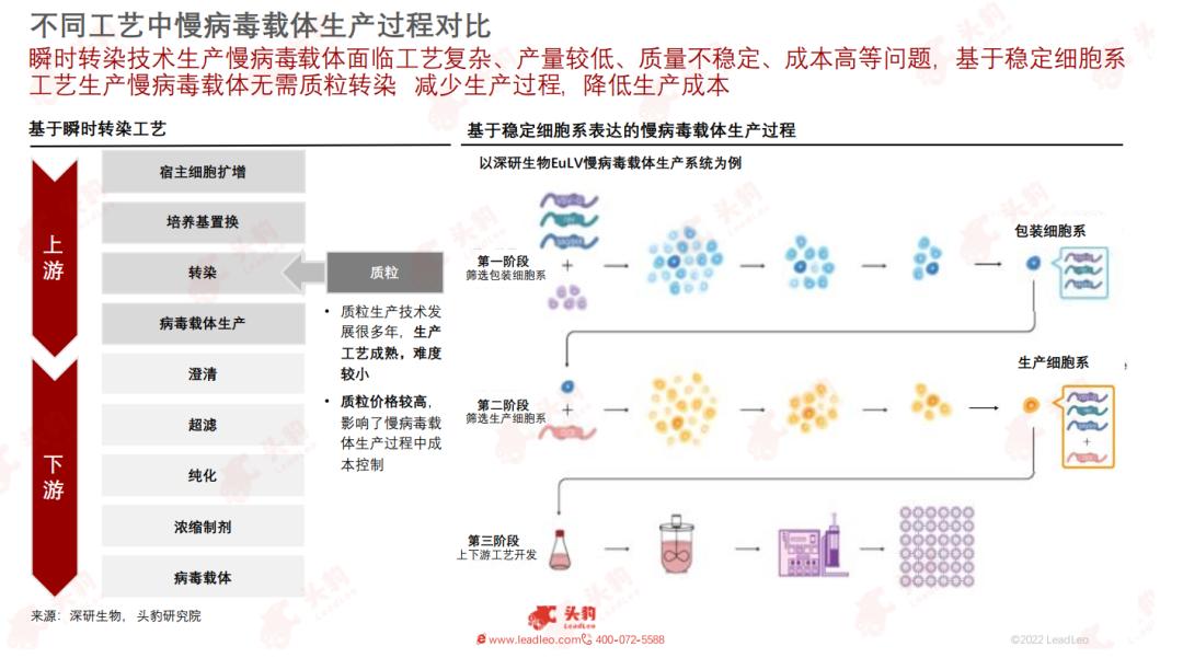 Stable cell line + suspension culture process to solve the pain points ...