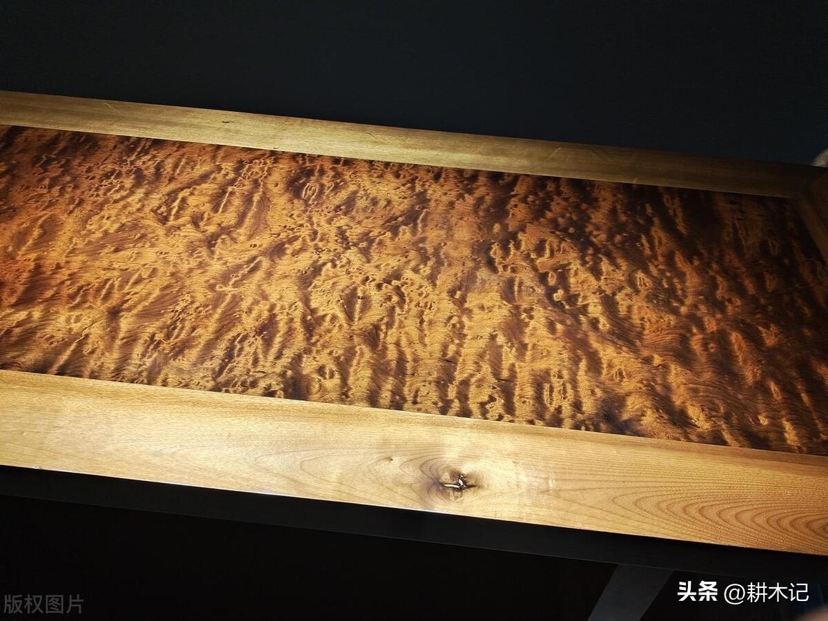 Red nanmu - a gift from nature - iNEWS