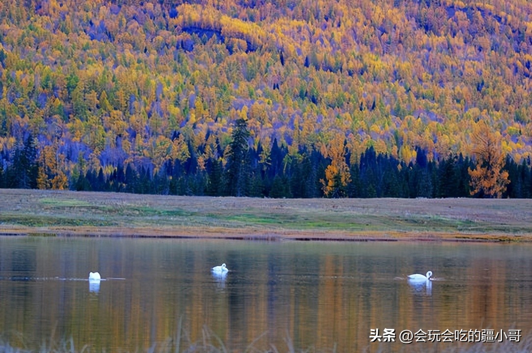 Xinjiang's most low-key lake, neglected by tourists all the year round ...
