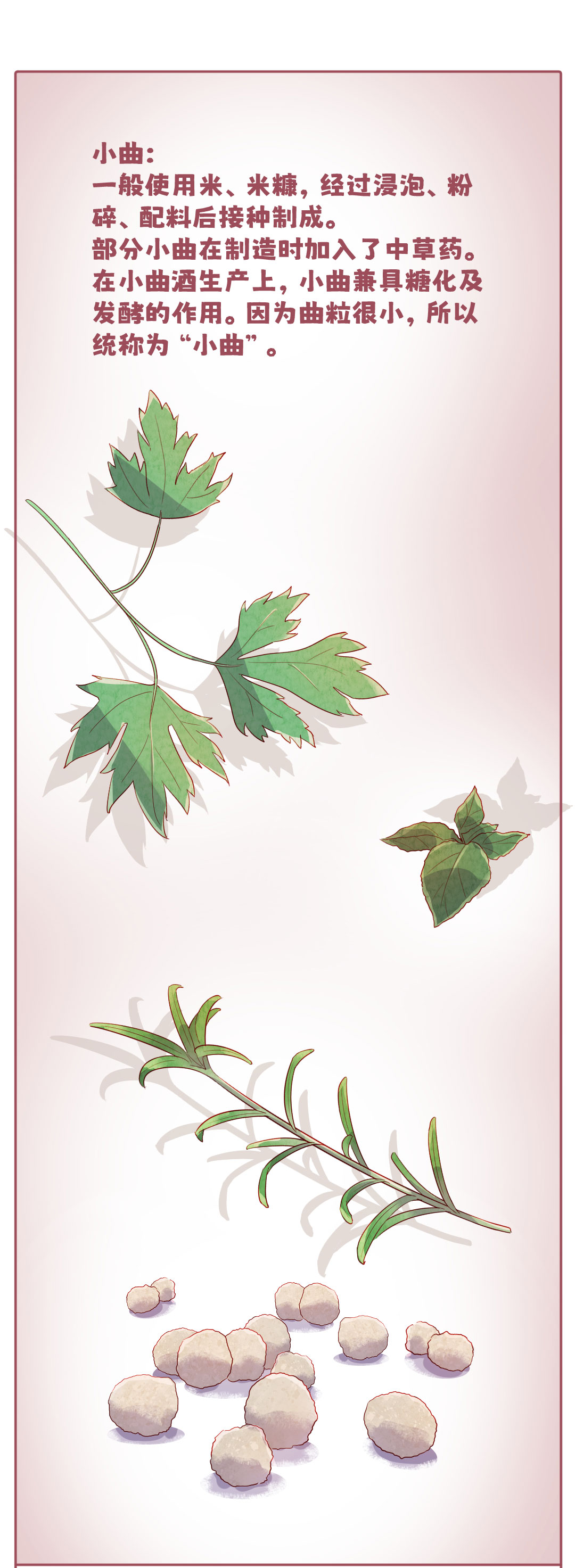 Chapter 5: Talking about wine songs, the characteristics of various ...
