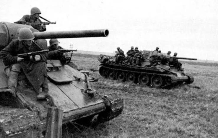 How strong are the rats in Stalingrad?The Germans didn't pay attention ...