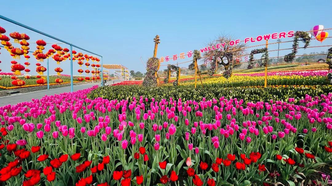 Chengdu Spring Festival check-in place - iNEWS