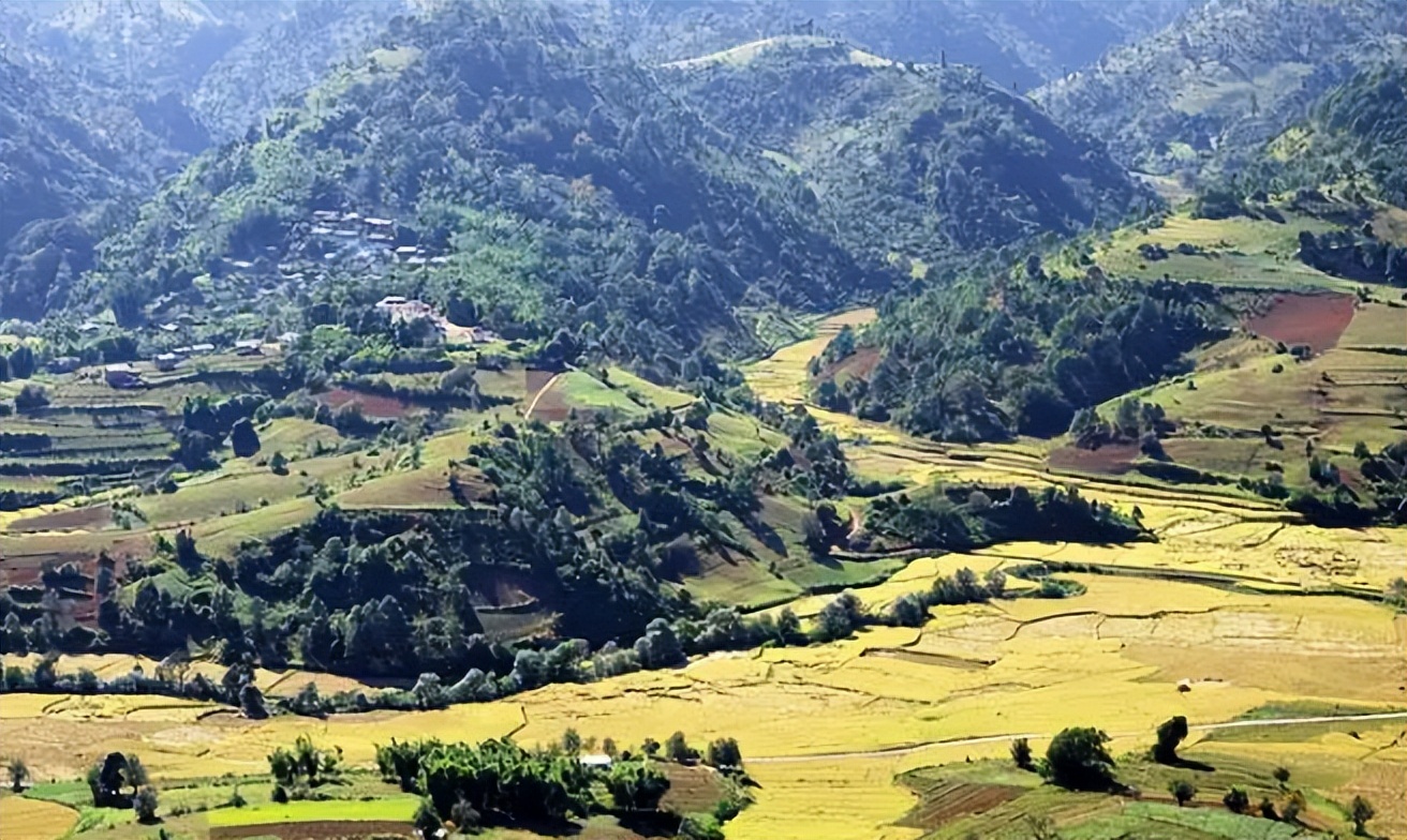 A memoir of a survivor in northern Myanmar, suffering from all kinds of ...