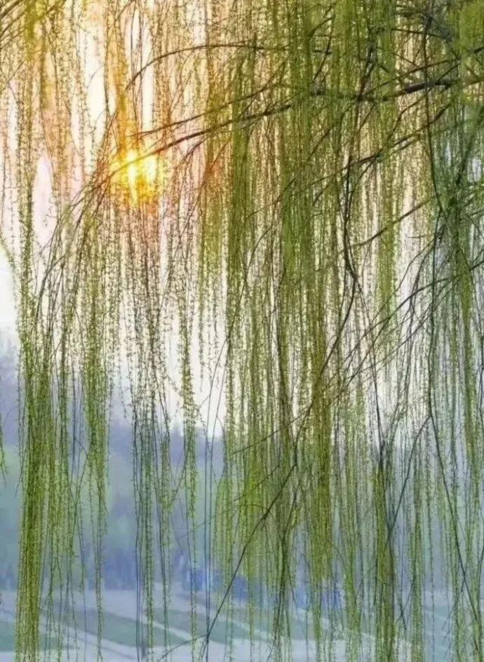 Qian Liu lowered his head - iMedia