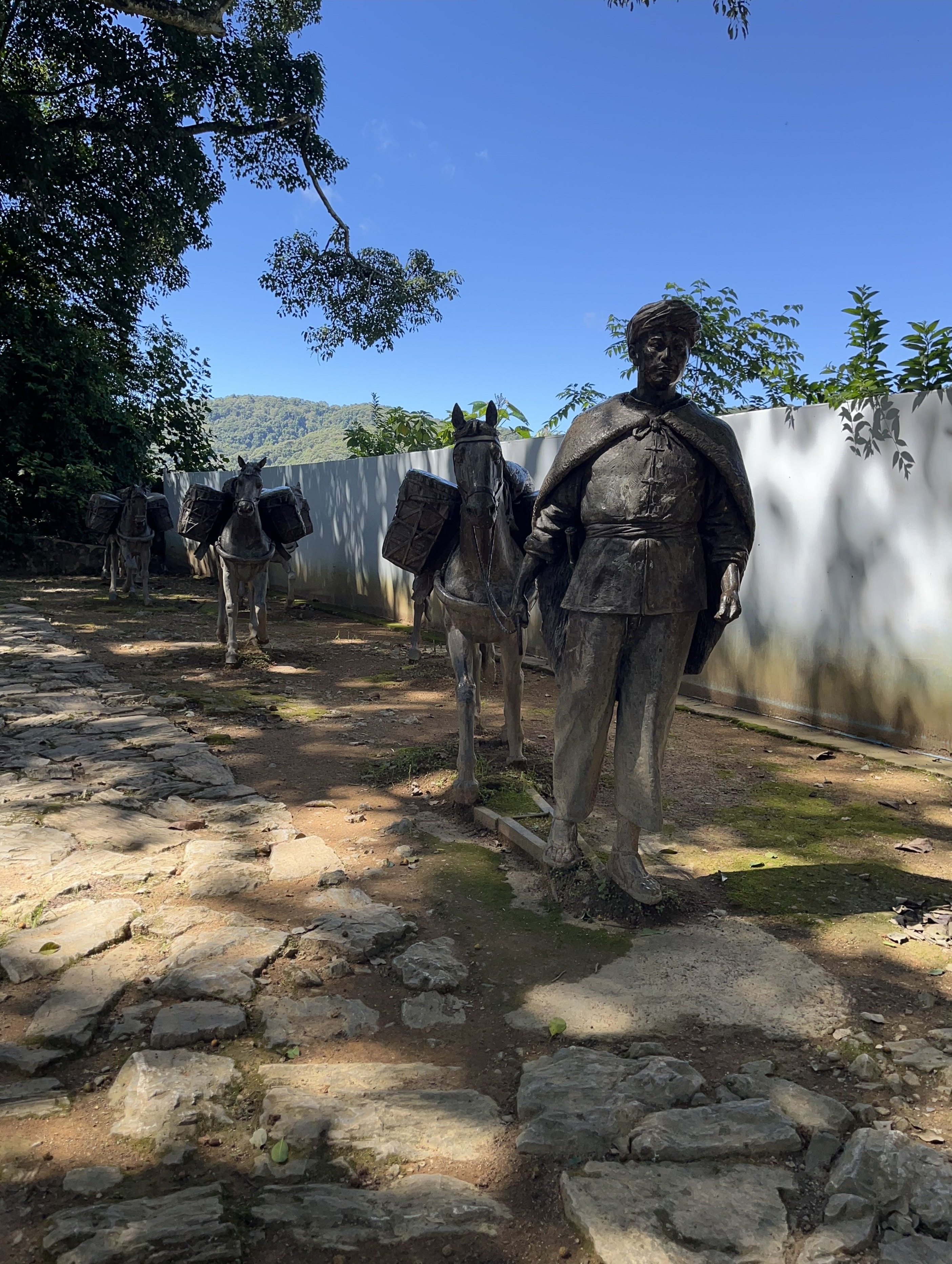 Yiwu Tea Area - iNEWS