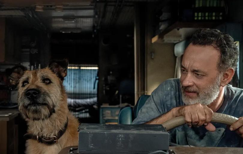 The number one actor in Hollywood has now fallen to the "Altar" - iNEWS