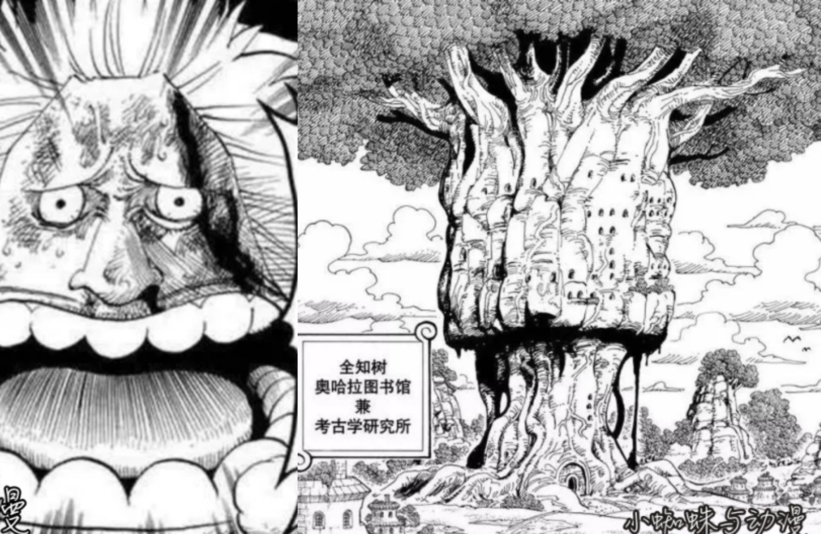 One Piece 1066, Oda hints that the next island is Elbaf, Haierding ...
