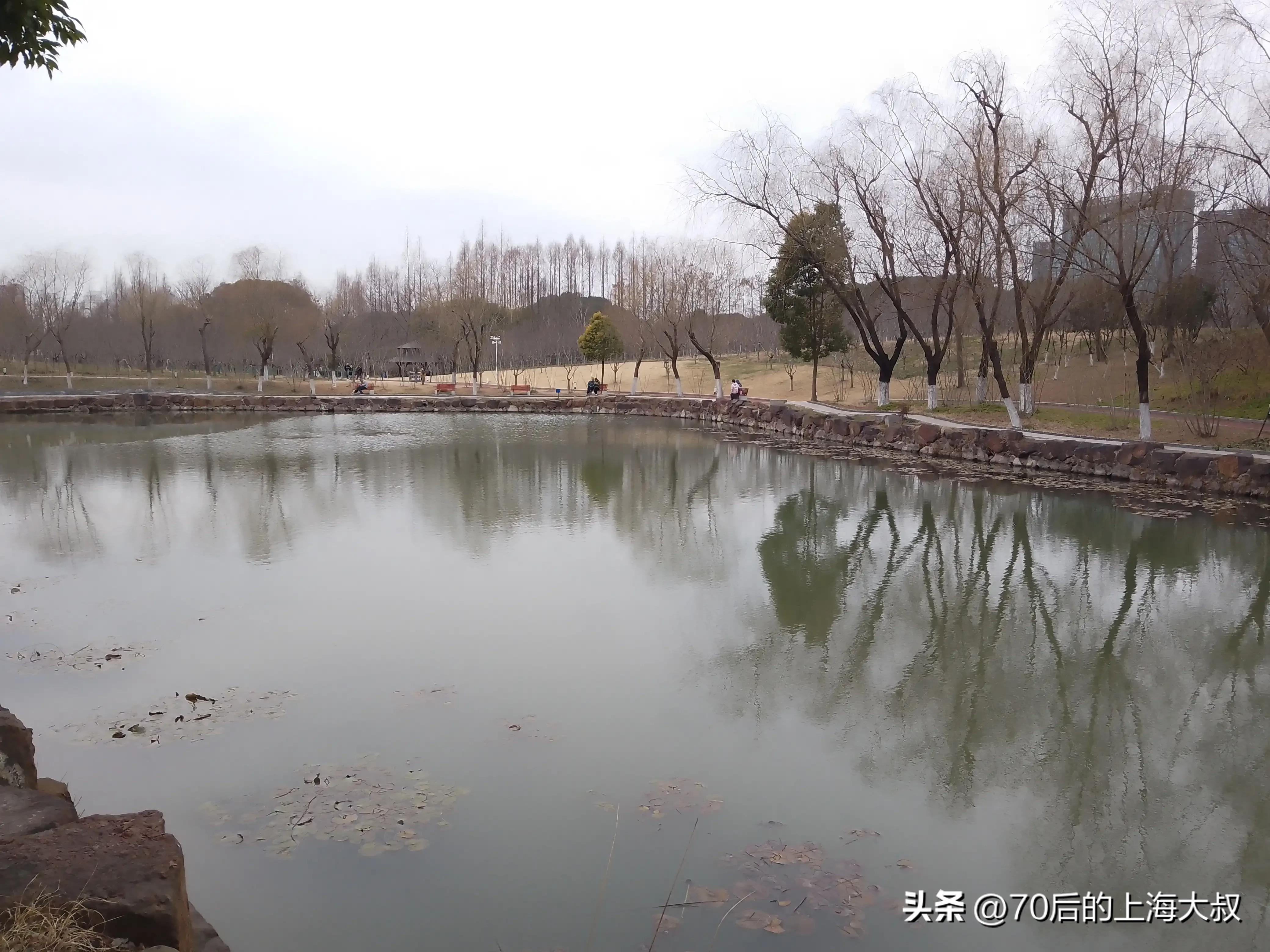Visit Shanghai Daning Lingshi Park on February 5th, and take pictures ...