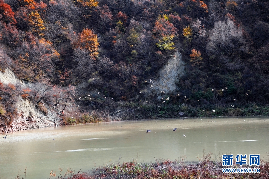 Chongxin: Picturesque Mountains - iNEWS