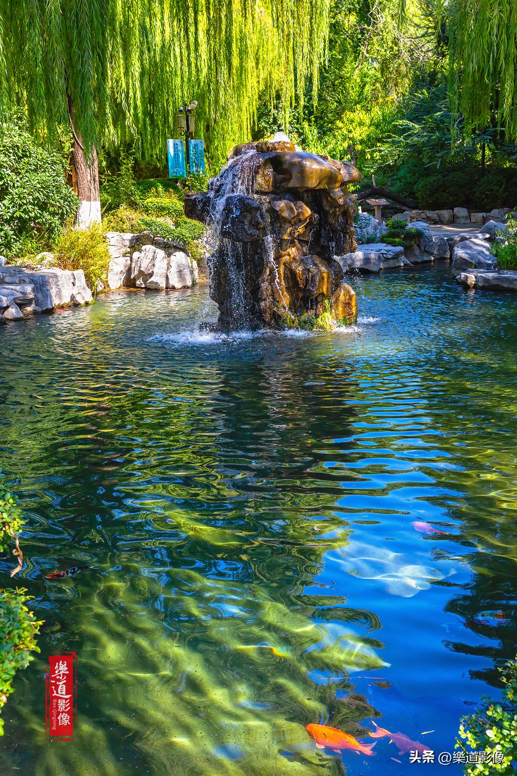 The highest water level of Black Tiger Spring in Baotu Spring - iNEWS