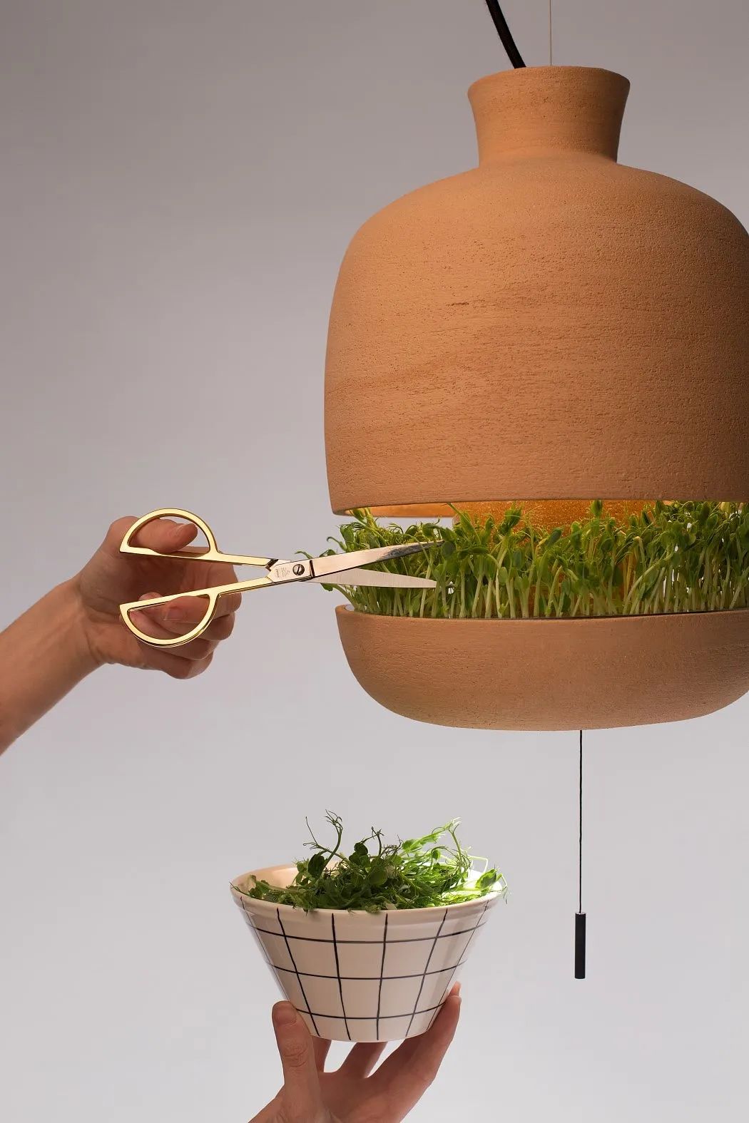 "10 Styles" - Creative Flower Pot Design - iNEWS