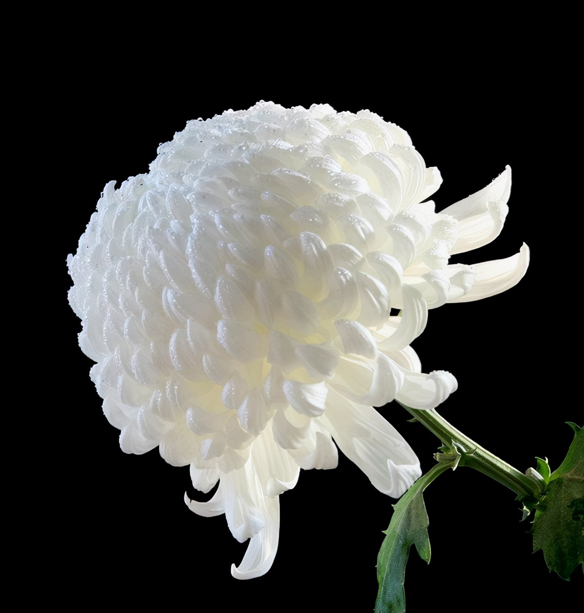 How ambitious to sacrifice-I deeply miss Tang Kejin's comrade-in-arms ...