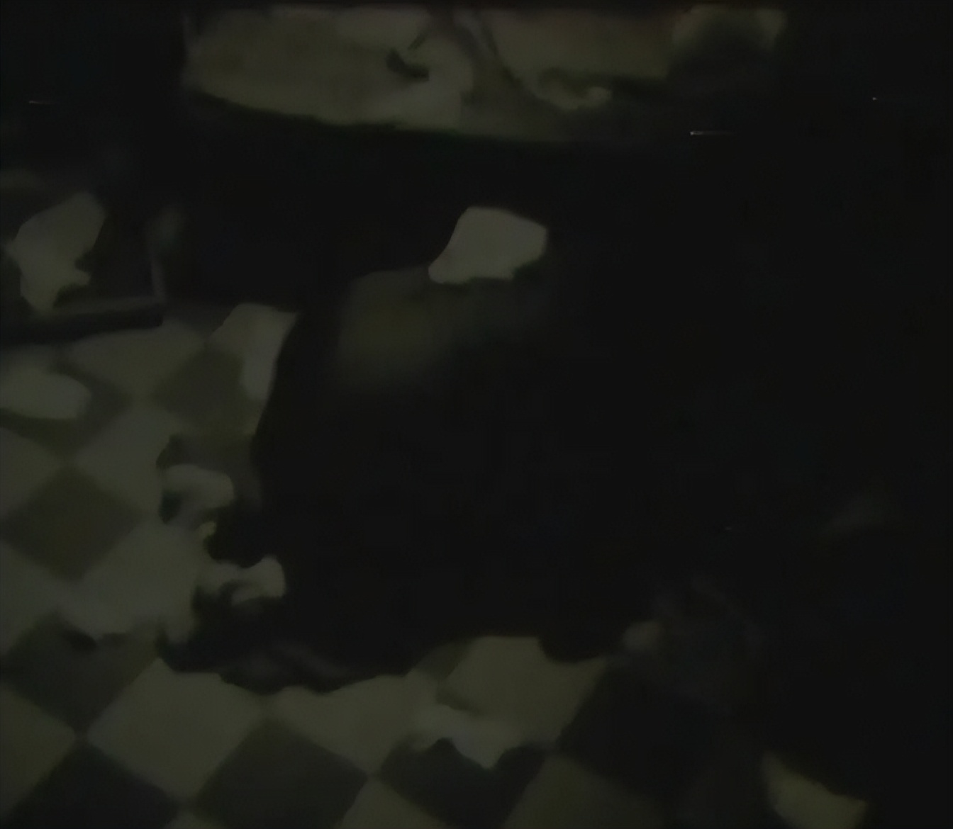 Sune Lund-Sørensen participated in the science fiction film, and the ...