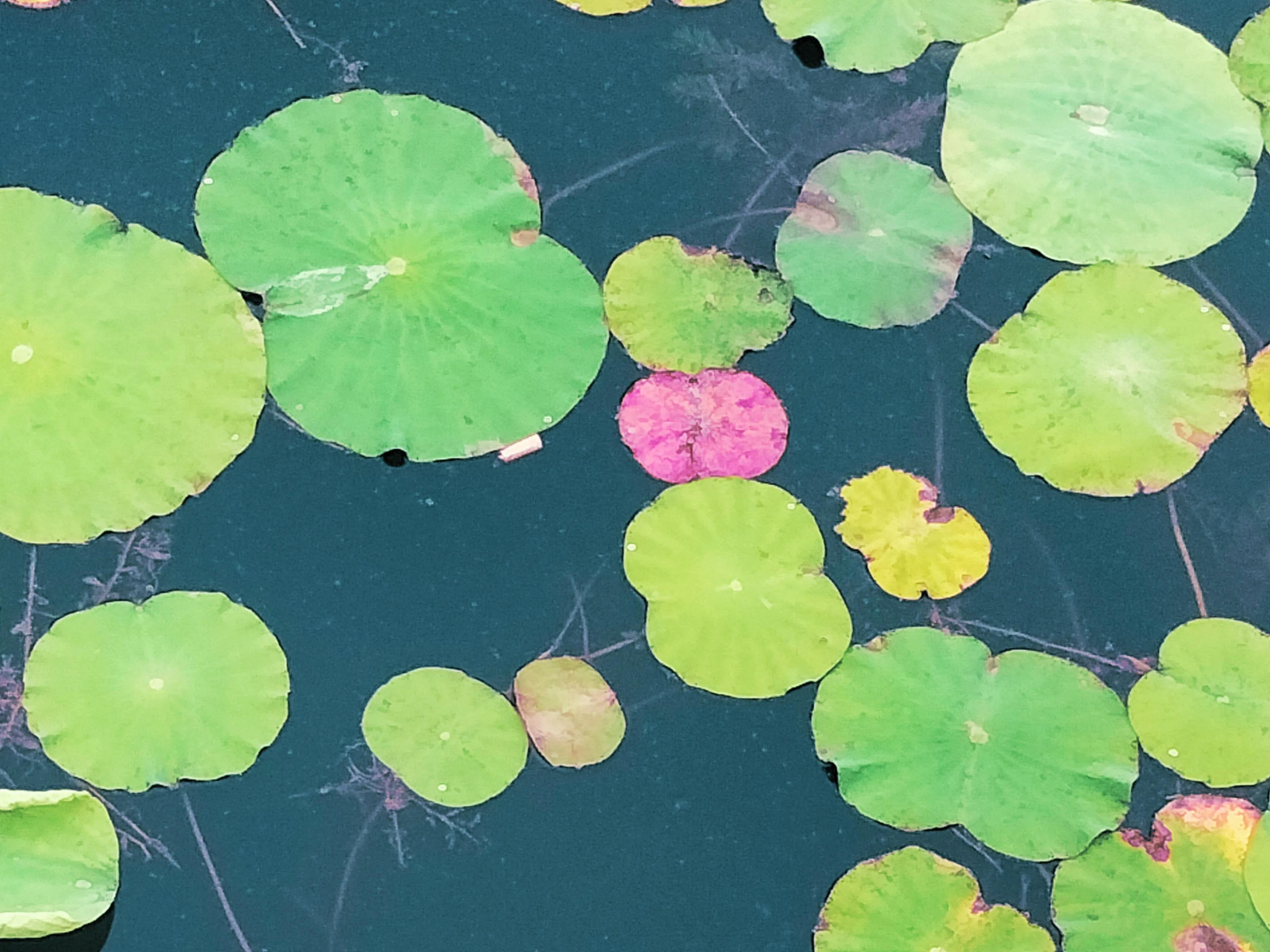 Dialogue of the Wise (4) Wei Zheng and Li Shimin's Language Confrontation - iNEWS