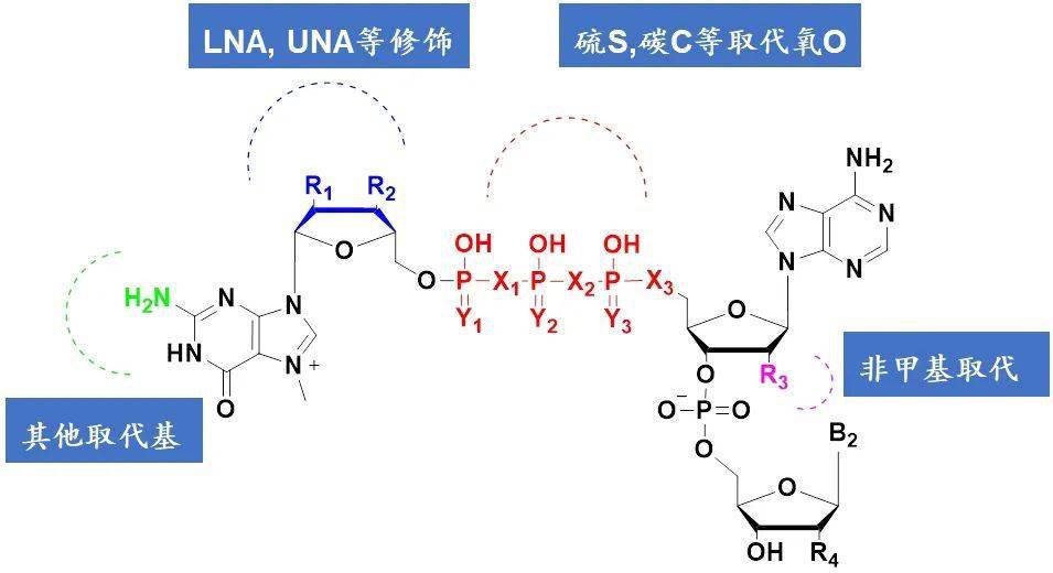 Self-developed mRNA one-step co-transcription cap analog - iNEWS