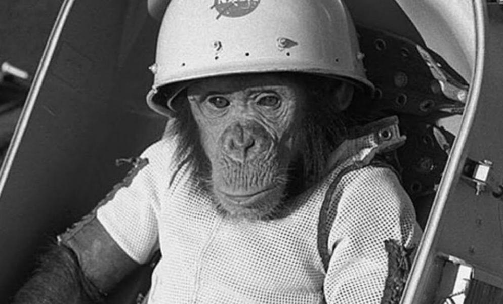 In 1961, the United States sent a chimpanzee into space. After ...