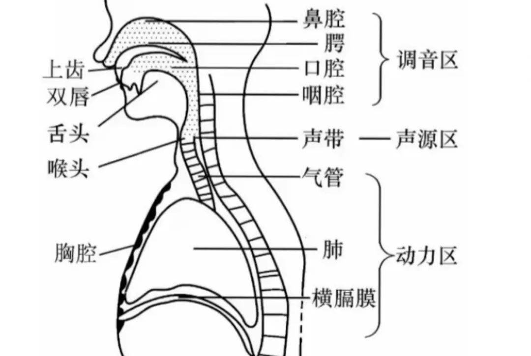 Li Daimo, the first generation vocal of Panda Hall, PK Cui Yunfeng, the ...