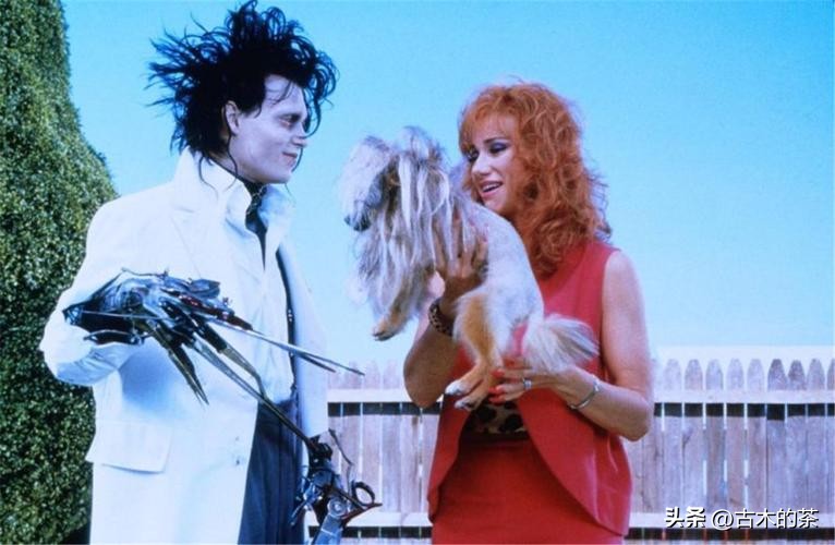 Appreciation and analysis of the complexity of human nature and the ...