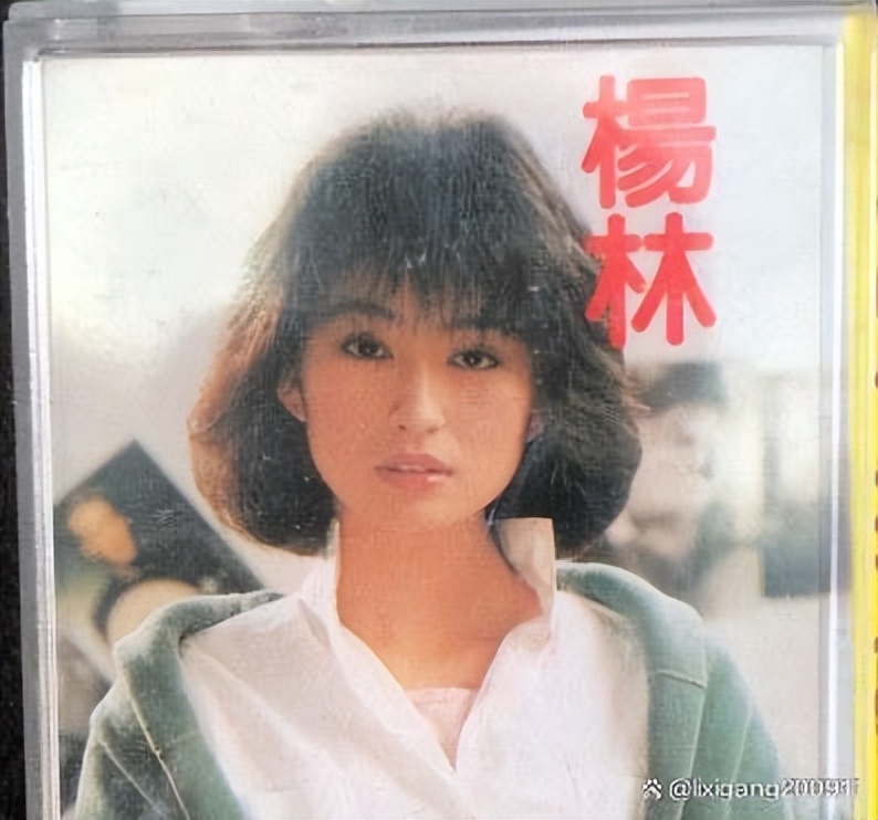 Yang Lin: Taiwan's female singer, married to a handicapped wealthy ...