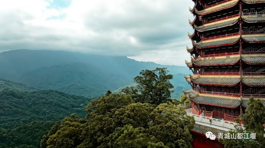 Qingcheng Mountain escape NO.1!Appreciating the thousand-year-old ...