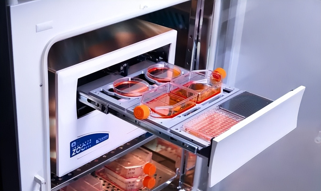 Introduction to Cell Scratch Experiment - iNEWS