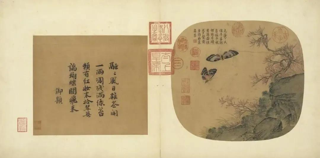 Appreciation of Diao Guangyin's paintings "Sketching Flowers Album ...