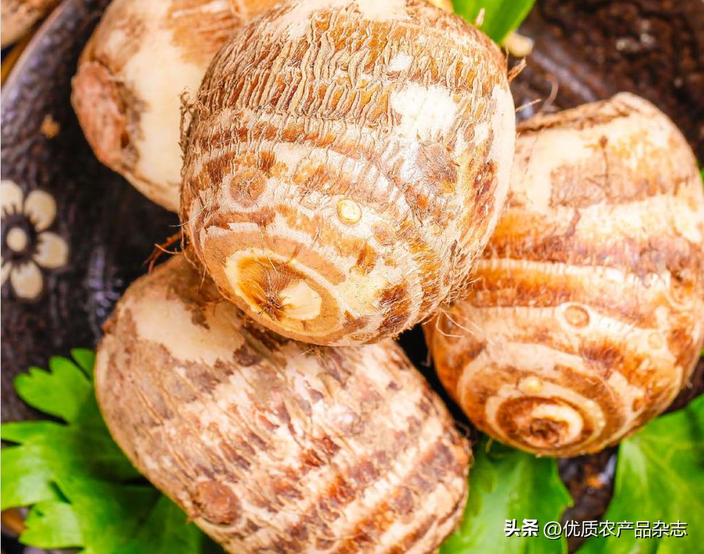 Taro can actually protect teeth? This alkaline food can't hide - iNEWS