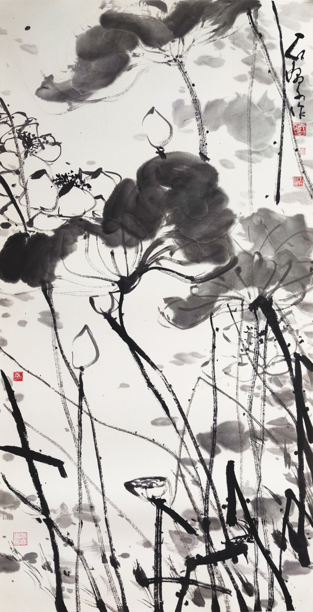 Hundreds of Characters - iMedia