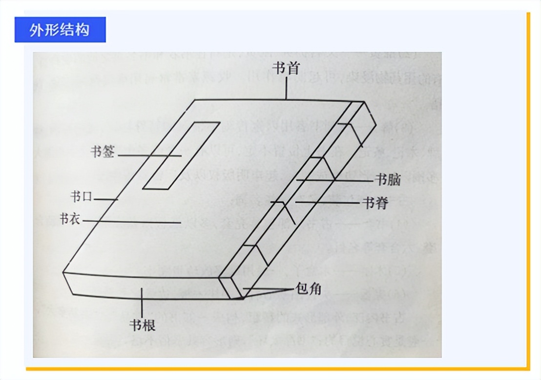 Exploring the knowledge of ancient books - shape structure - iNEWS