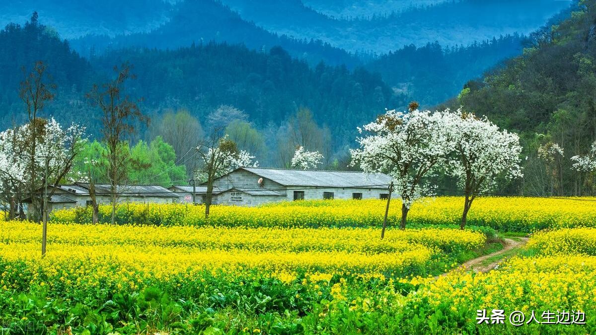 What kind of experience is it like to be forced to live in seclusion ...