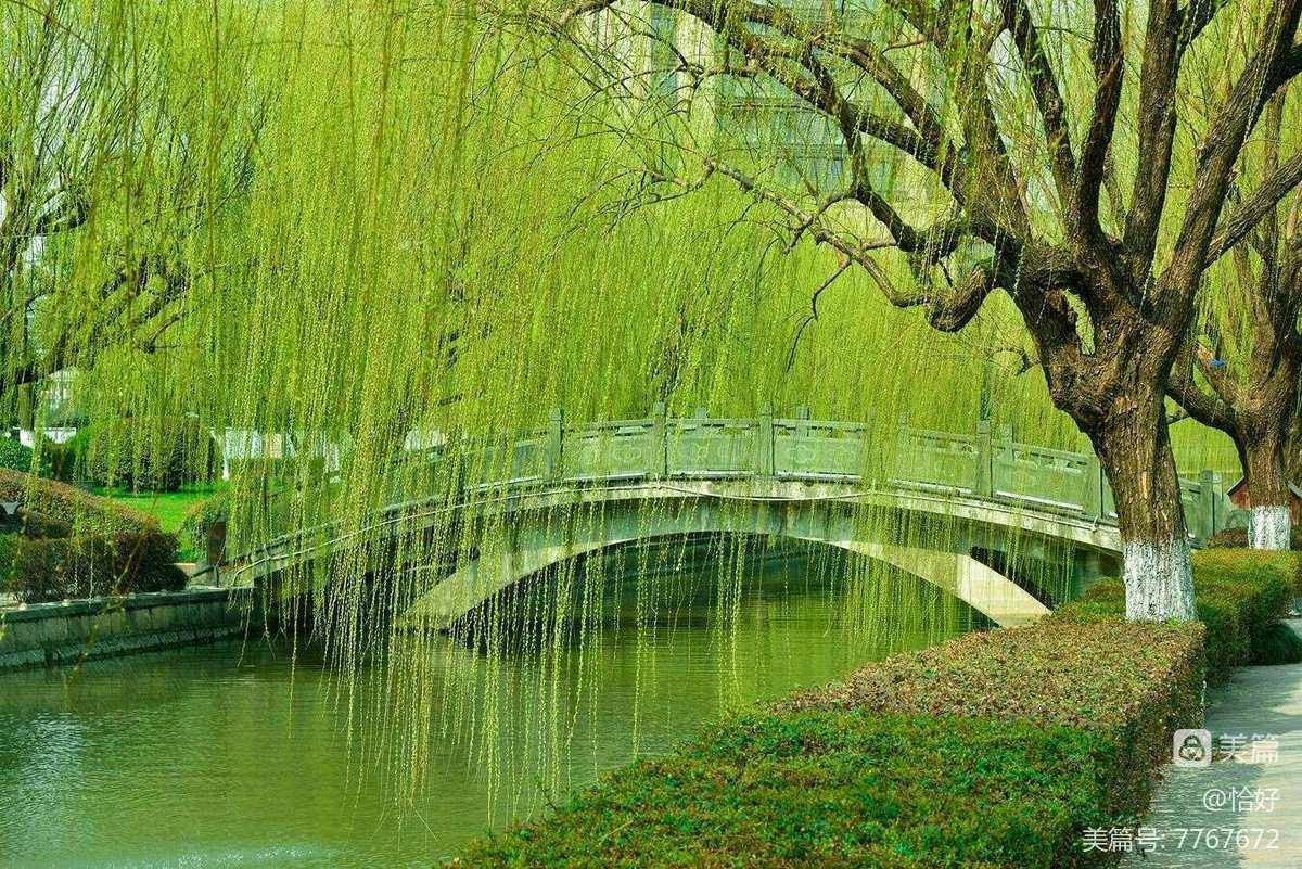 How much do you know about the 10 traditional customs of Qingming ...
