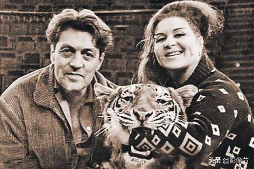 The year of the tiger talks about the tiger, do you still remember the ...