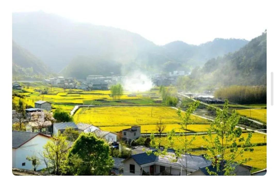 Genius Poet Yu Xiuhua Poetry Appreciation Series No. 2, let's learn ...