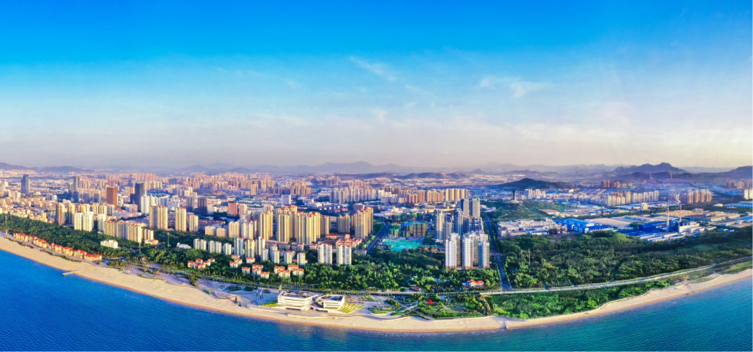 Behind the massive sea sausages in Bajiao Bay - iNEWS