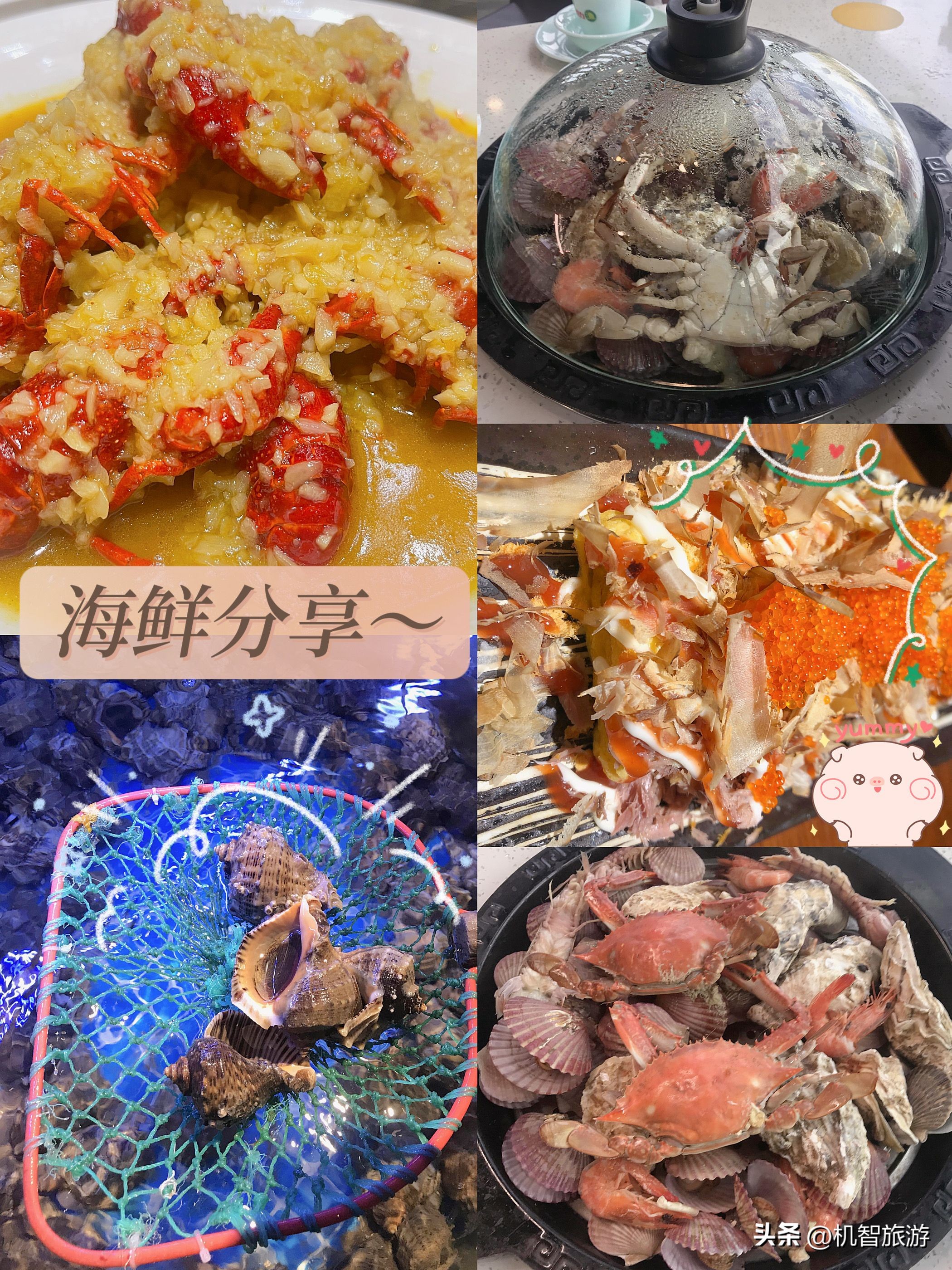 Rizhao Food Raiders, the major food summary version is coming - iNEWS