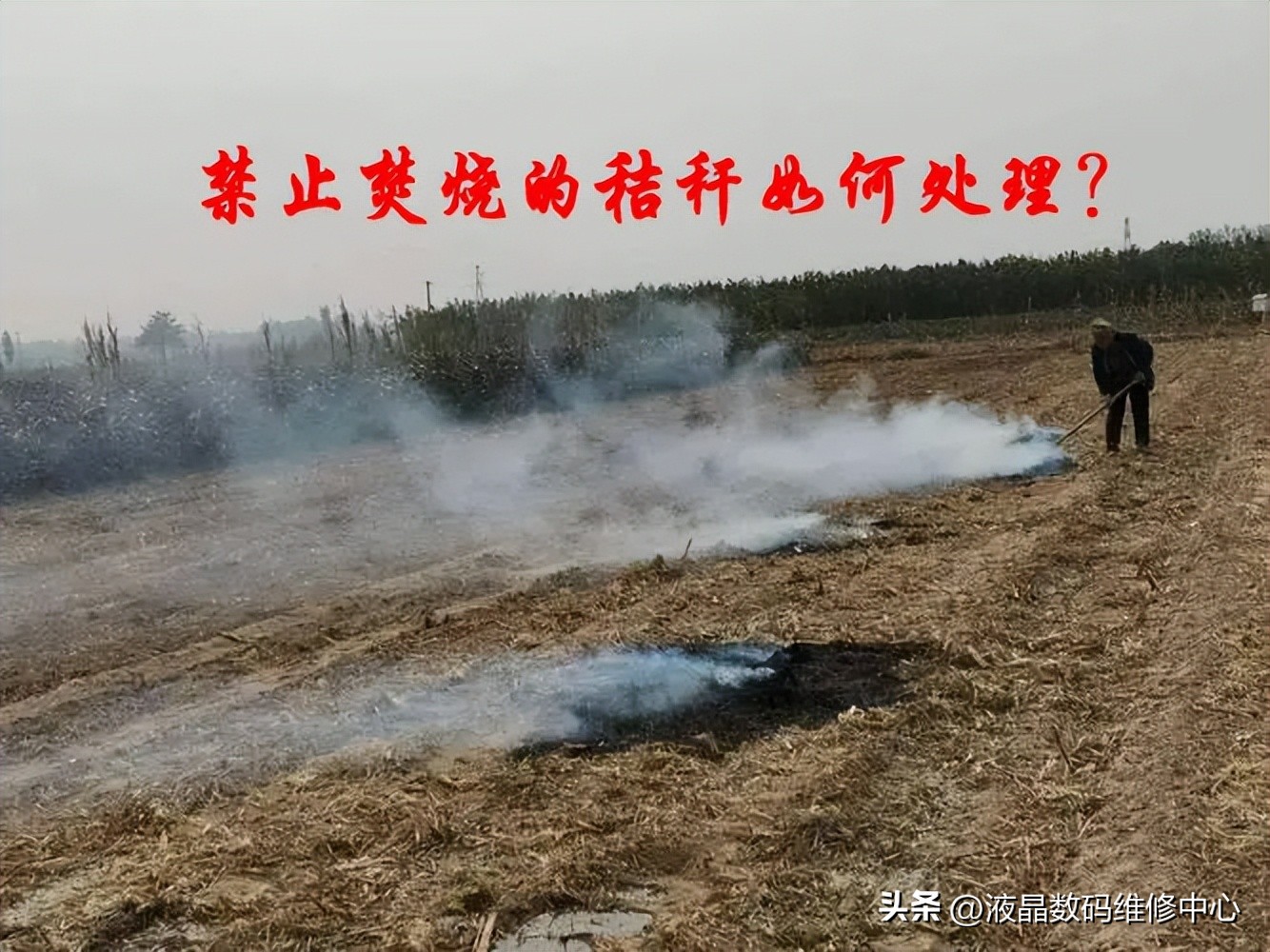 How to deal with the straw that is prohibited from burning? - iNEWS