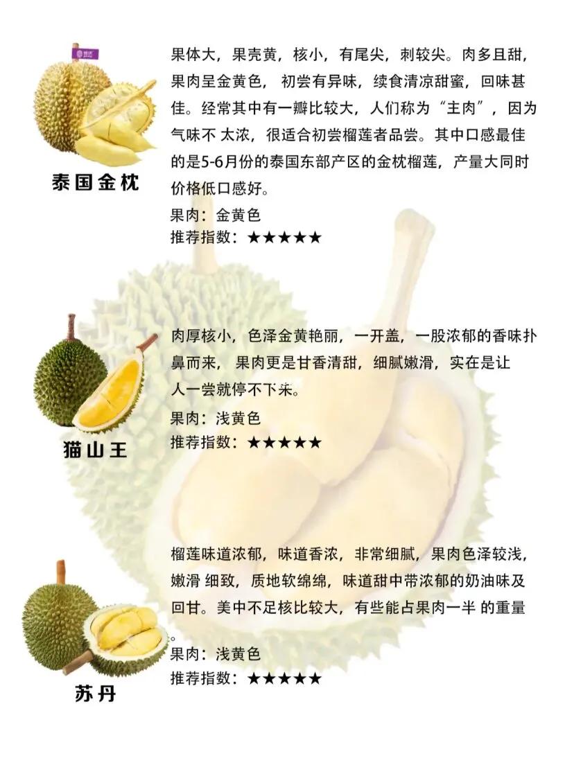 durian - iNEWS