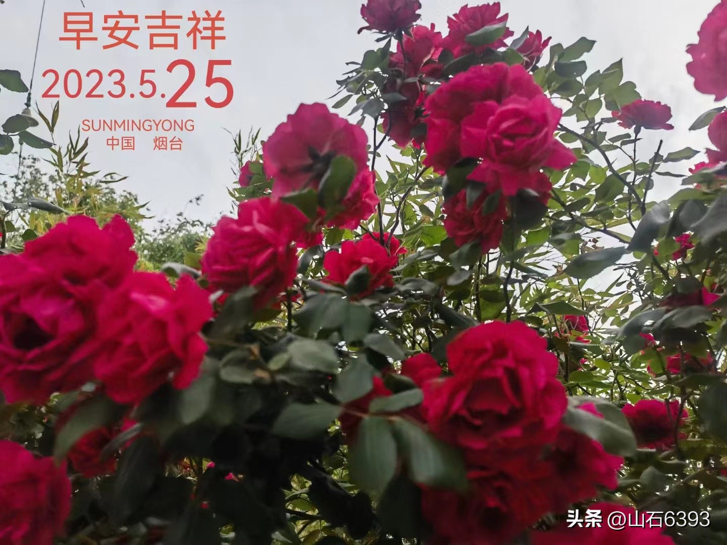 Forever 78th Division 69th Fire Platoon Hero Comrade Zhou Guoping participated in the battle ...