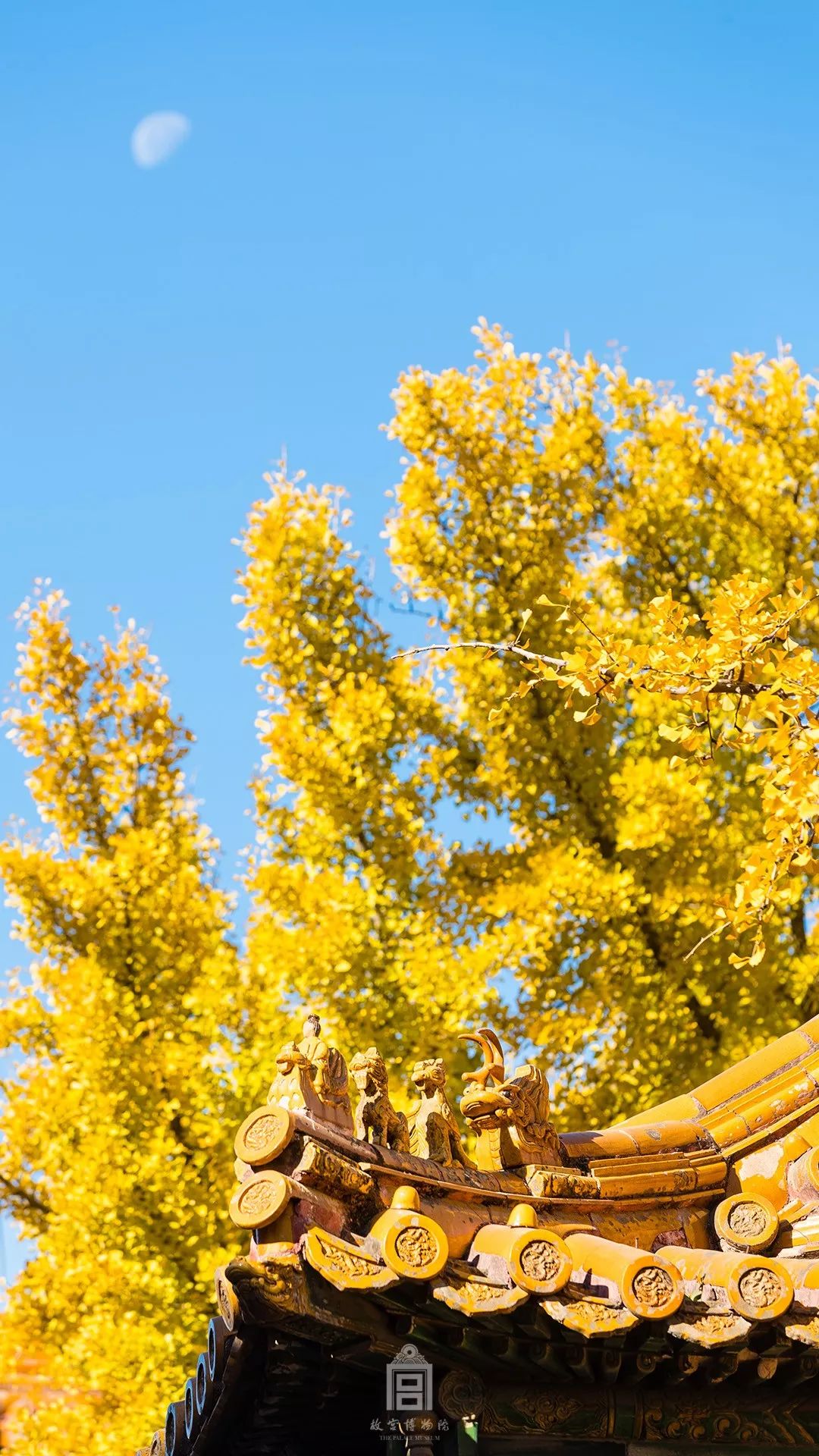 Beijing, the "paradise on earth" written by Lao She, the autumn in ...