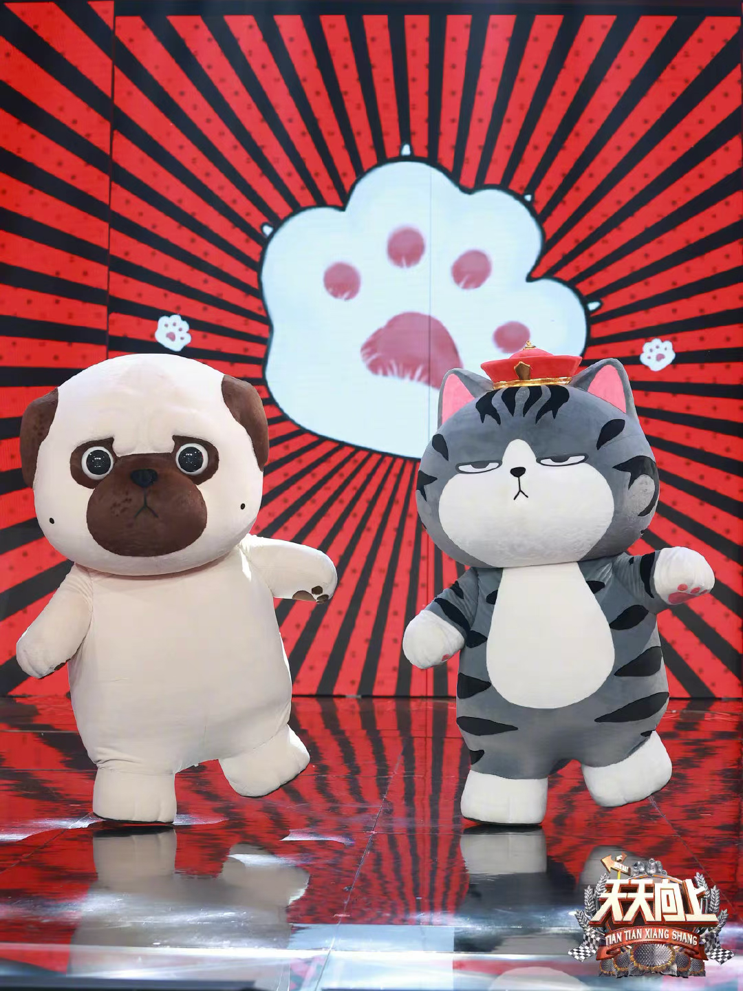 Growing up on time, the original Chinese cartoon image "My Emperor Cat ...