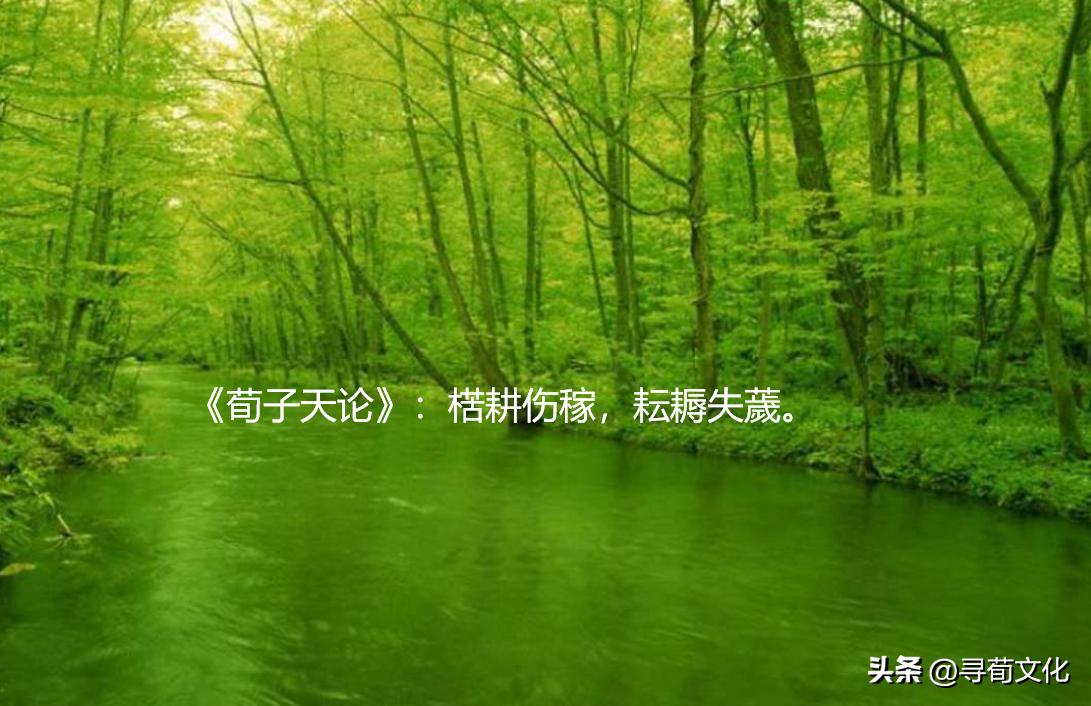 "Chinese Xun Surnames" - Xun Sui, Xun Yu, Xun Tan, Xun Yi, Xun Min, Xun ...