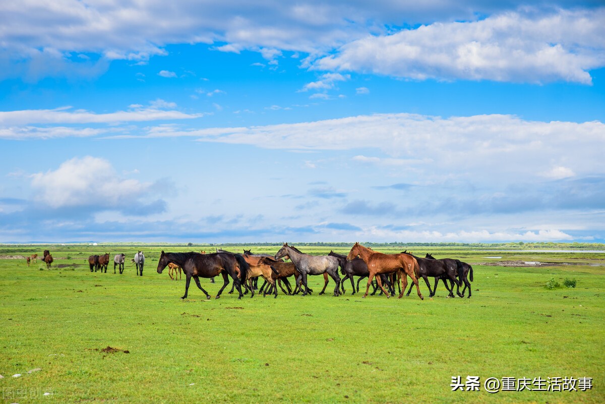 Li Juan is extremely talented, but those who pursue her are not serious ...