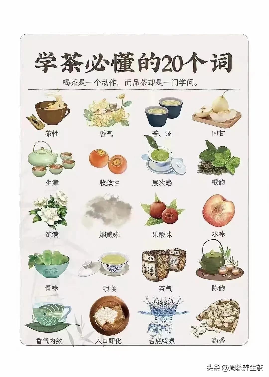 TCM properties and medicinal value of six major tea types - iNEWS