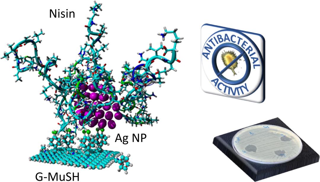 Chemical Properties of Münchnone Functionalized Graphene - iMedia