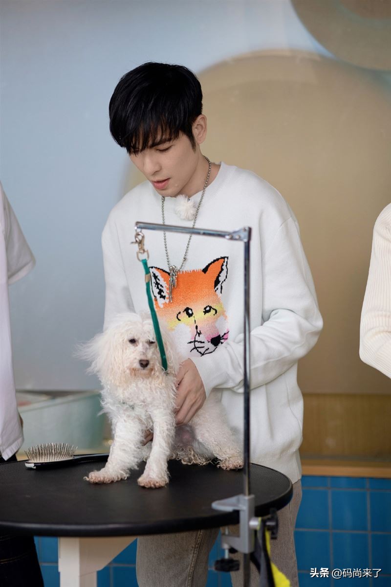 Xiao Jingteng, a talented musician, always exudes a warm light in his ...